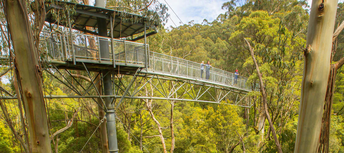 Experiences Deals Australia & NZ - Book Online | ClubConnect