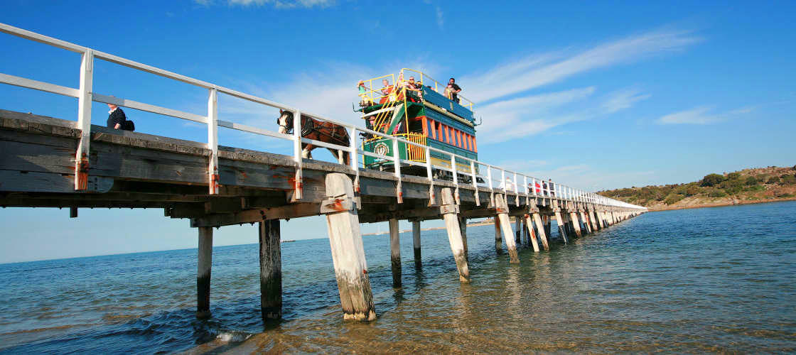 Fleurieu Peninsula Tours & Day Trips | ClubConnect